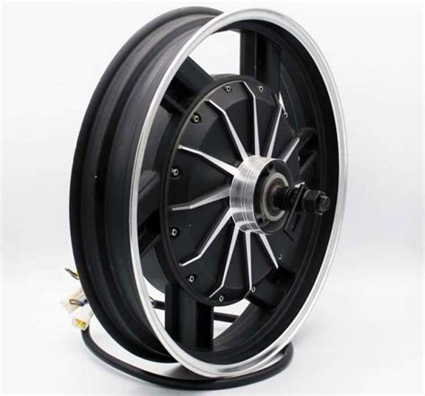 BLDC HUB Motor Inch Watt Manufacturer In Pune India