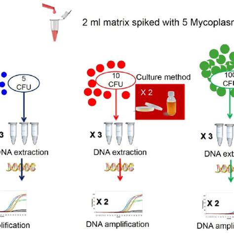 Technical Approach For Evaluation Of Test Sensitivity Cfu Colony