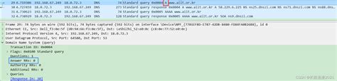 《计算机网络—自顶向下方法》 wireshark实验（三）：dns协议分析 wireshark dns csdn博客