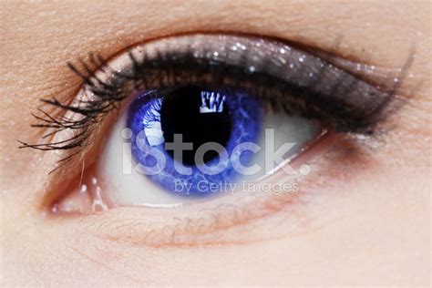 눈 스톡 사진 Freeimages