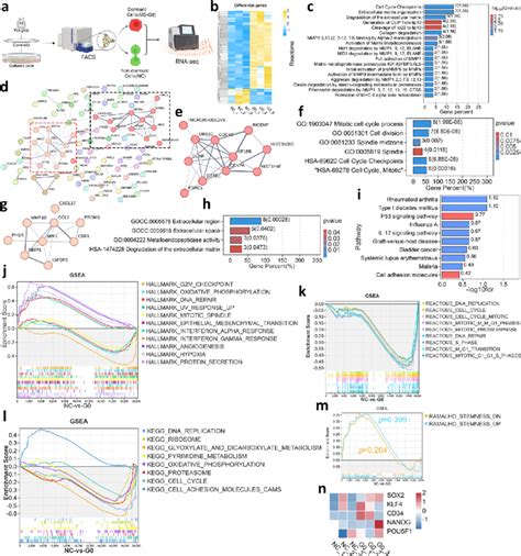 Transcriptomic Profiling Of Ms Induced Dormant Subpopulation A