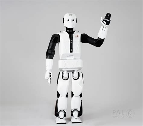 Reem C 🔹 Full Size Biped Humanoid Robot 🔹 Designed As A Research