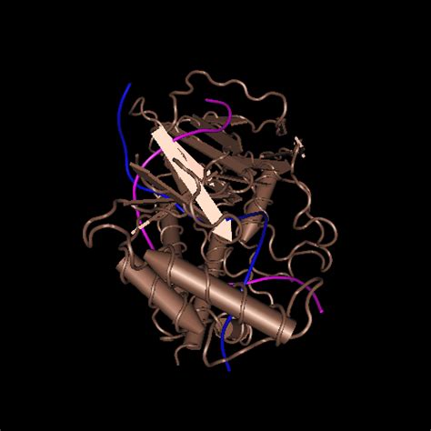 Dna Logo Terminator