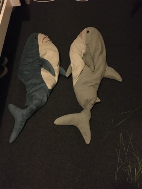 Grey Blahaj meets Blue Blahaj : r/BLAHAJ