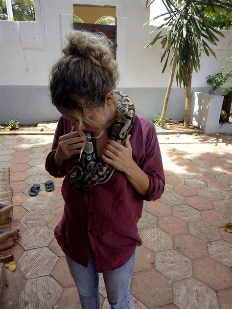 Temple De Python De Ouidah Temples Serpents Animaux Animaux