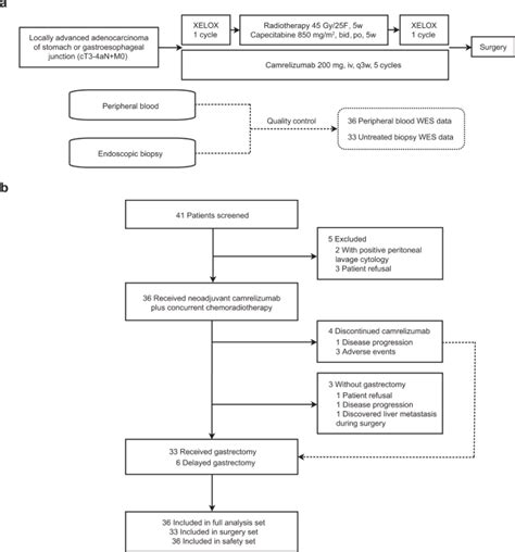 The Neo Planet Phase Ii Trial Of Neoadjuvant Camrelizumab Plus Concurrent Chemoradiotherapy In