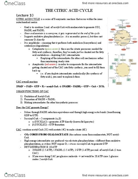 BIOC 311 Lecture Notes Fall 2019 Lecture 10 Acetyl Coa Oxidative