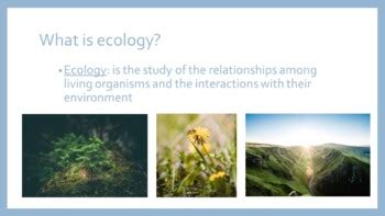 Principles Of Ecology By Science With Mrs Stephenson TPT