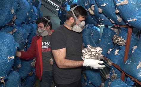Kilosu 70 lira 3 mühendis kafa kafaya verdi şimdi paraya para