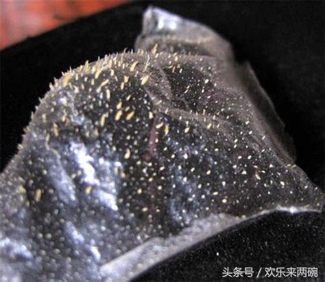 女人鼻子上有黑頭密密麻麻很難看，這幾款去黑頭神器，效果超好 每日頭條