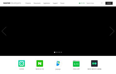 NAVER Api ApisList