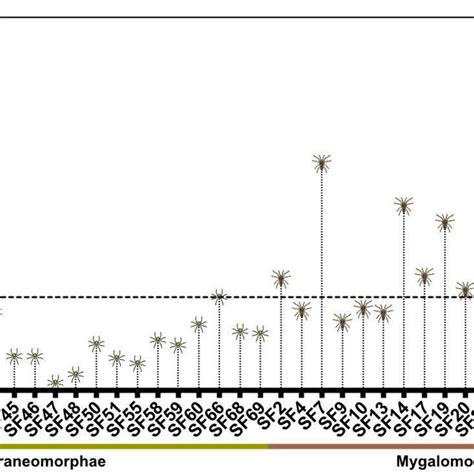 Molecular Evolution Of Spider Toxin Superfamilies Download Scientific