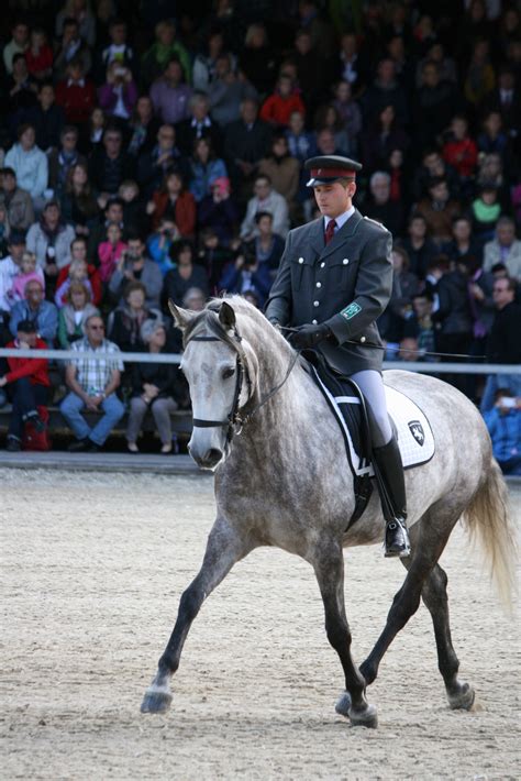 Lipizzanergestüt Piber Gruppenreisen Mit Groupedia