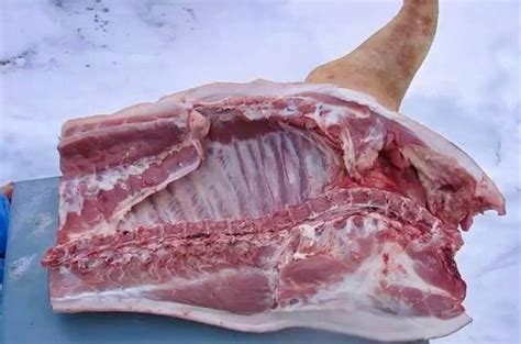 Продам свежее мясо домашнего поросёнка Продажа четвертями Голова и ноги на холодец Не дорого