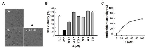 Compound 6 Prevented Glutamate Induced Ht22 Cell Death A Microscopic