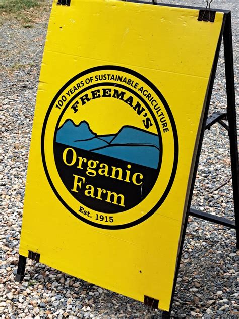 Freemans Organic Farm Roadside Stalls