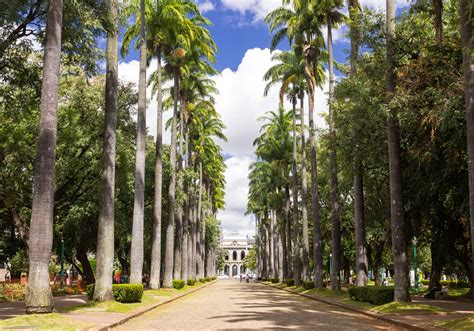 O que fazer em BH pontos turísticos atrações e melhores passeios