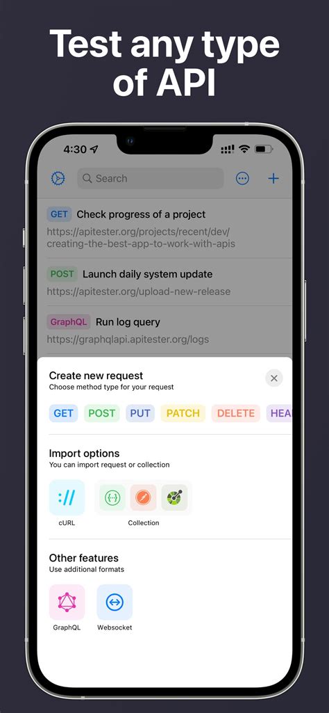 API Tester Alternatives 25 API Clients AlternativeTo