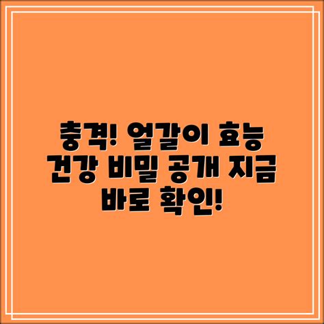 피망고스톱 다운로드 및 설치 방법과 맞고 게임 가이드