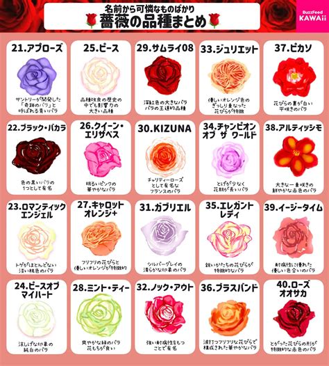 Buzzfeed🌸kawaii On Twitter 楽しい豆知識 花 名前 バラの種類