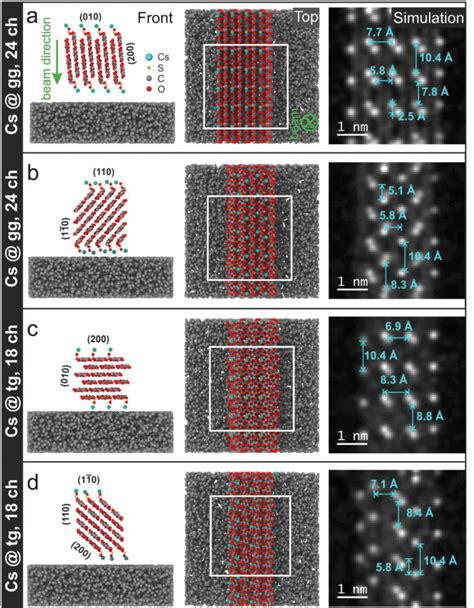 Visualization Of Cellulose Structures With Cesium Labeling And Cryo Stem Glycopedia