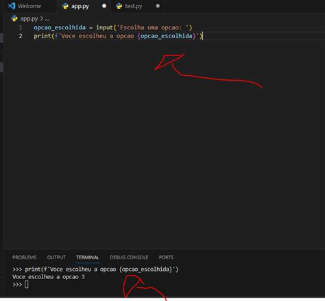 Saida do codigo errada mas codigo esta certo Python crie a sua primeira aplicação Alura