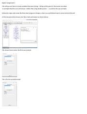 Raptor Assignment 1 3 Docx Raptor Assignment 1 This Will Go Over How To Create Variables That