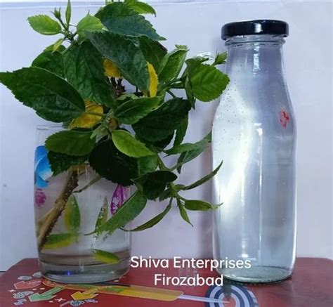 300 Ml Glass Milk Bottle For Beverage At ₹ 56piece In Firozabad Id