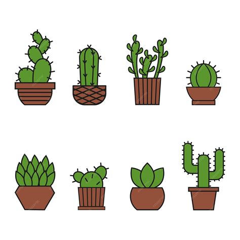 Conjunto De Iconos De Cactus Vector Colección De Cactus En Macetas