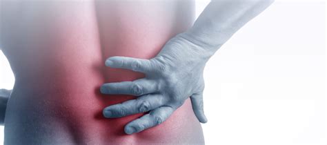 Terapia Cognitivo Funcional Masterclass De Kjartan Vibe Fersum