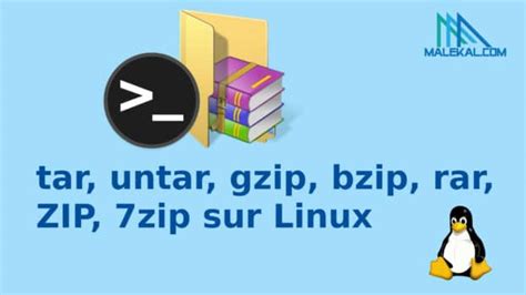 tar gzip bzip rar ZIP 7zip La compression décompression de