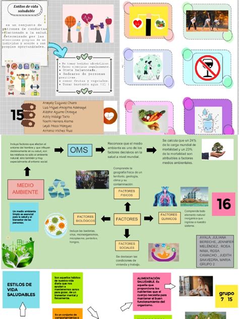 Determinantes De La Salud Pdf
