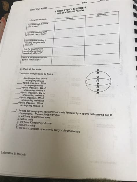 Solved STUDENT NAME DAYTIME LABORATORY 9 MEIOSIS PRELAB Chegg