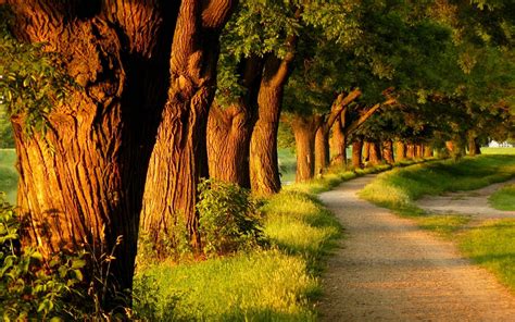 Calm Nature Wallpapers Wallpaper Cave