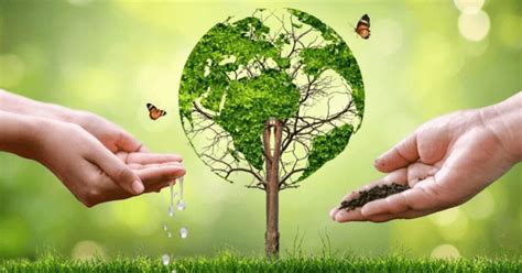 WHAT IS ECO-FRIENDLY GREEN DRY CLEANING