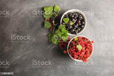 회색 배경에 흰색 그릇에 신선한 잘 익은 빨간 검은 건포도 베리 플랫 레이아웃 상단 보기입니다 복사 공간 0명에 대한 스톡 사진