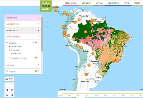 Brasil é O País Do Mundo Que Teve Mais Perda Florestal Em 2017
