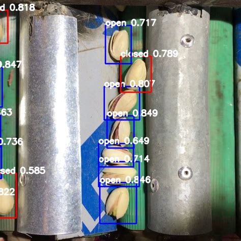 Figure E These Images Are The Output Of Retinanet The Red Boxes Are Download Scientific