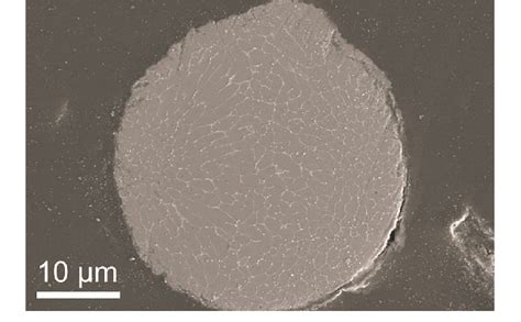 Sem Secondary Electron Image Of 7075 M Single Particle Cross Section In Download Scientific