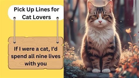 470 Cute Funny And Flirty Pick Up Lines For Cat Lovers For 2025