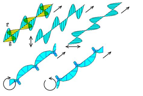 Protein Structure L Flashcards Quizlet