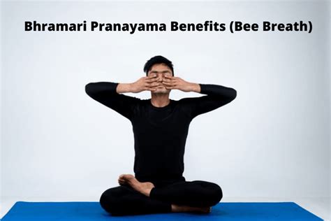 Bhramari Pranayama Bee Breath Benefits And Steps For Better Sleep