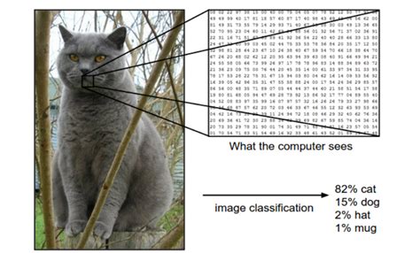 image classification pipeline