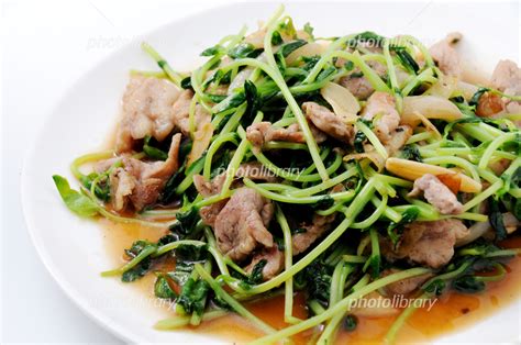 豚肉と豆苗の炒め物 写真素材 5285535 フォトライブラリー Photolibrary