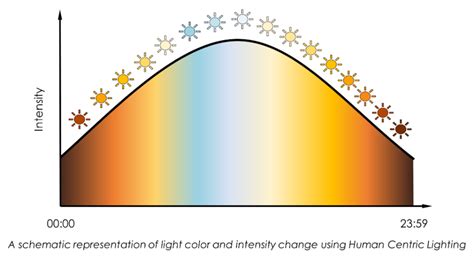 Human Centric Lighting Vizulo