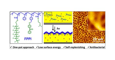 Simultaneous Formation Of A Self Wrinkled Surface And Silver Nanoparticles On A Functional