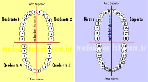 ESTUDOS SOBRE PRÓTESE DENTÁRIA NUMERAÇÃO E NOMENCLATURA DOS DENTES