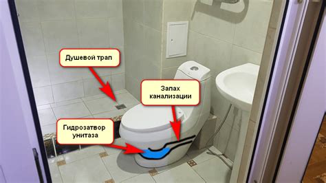 Как установить слив для душа своими руками - Советы домашнему мастеру о ...