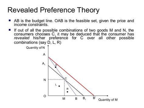 Consumer Preference And Choiceproduction Theory