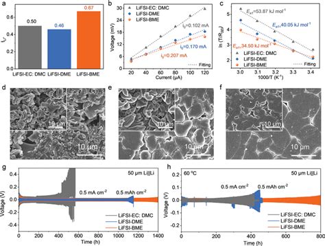 Kinetic Characteristics And Li Platingstripping Behavior In Various Download Scientific